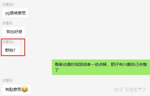 yg网络上什么意思? - 知乎