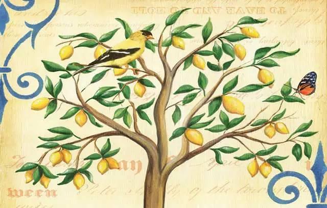 （33）Lemon Tree 歌词与翻译 - 知乎