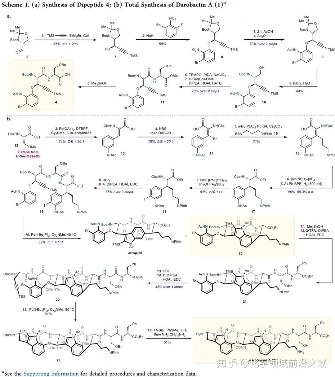 抗生素Darobactin A全合成方法1：Sarlah组和默克公司产学研合作成果 - 知乎