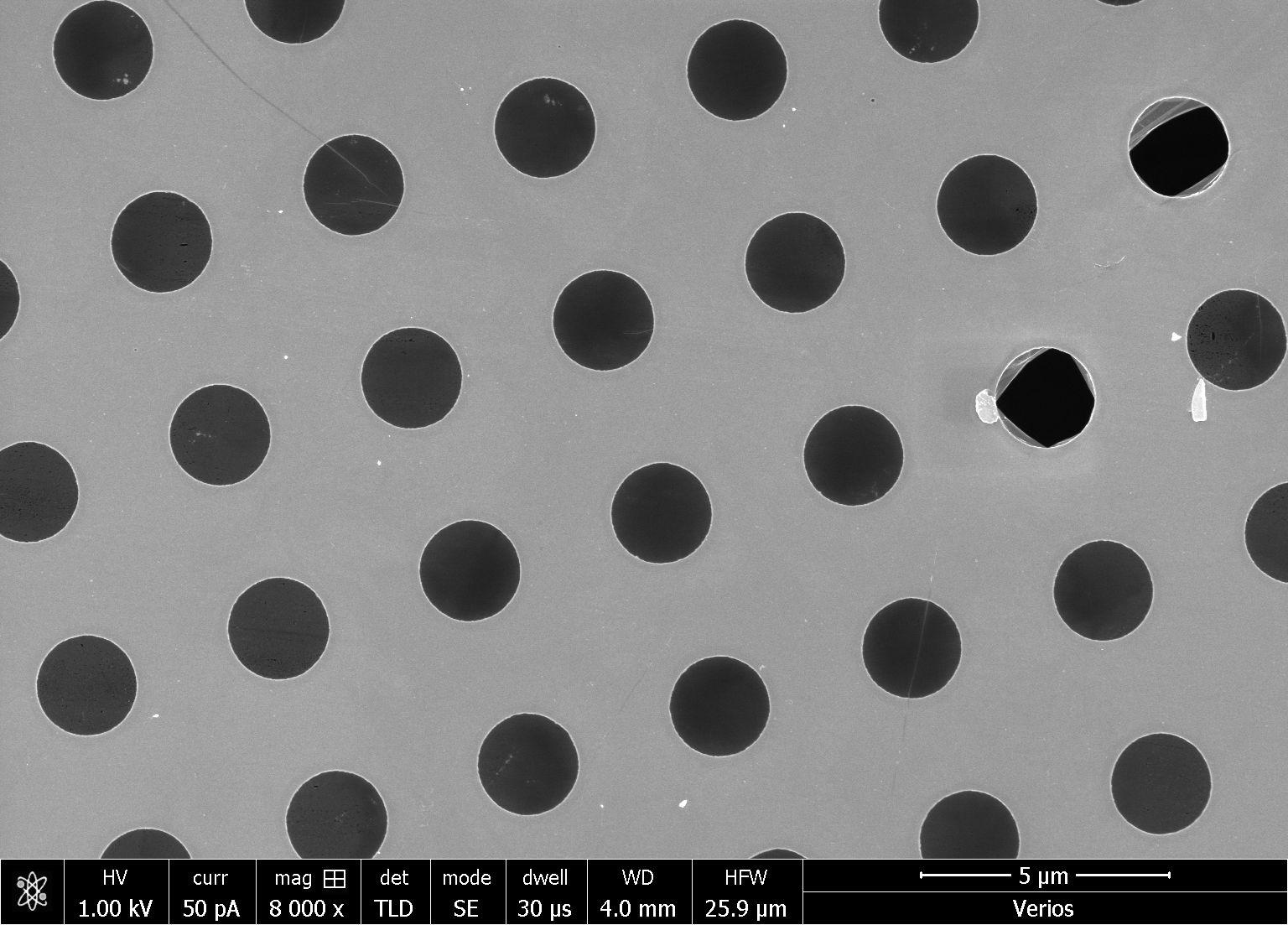 是否有TEM或SEM文献，将某种材料从米的水平拍到纳米水平？ - 知乎