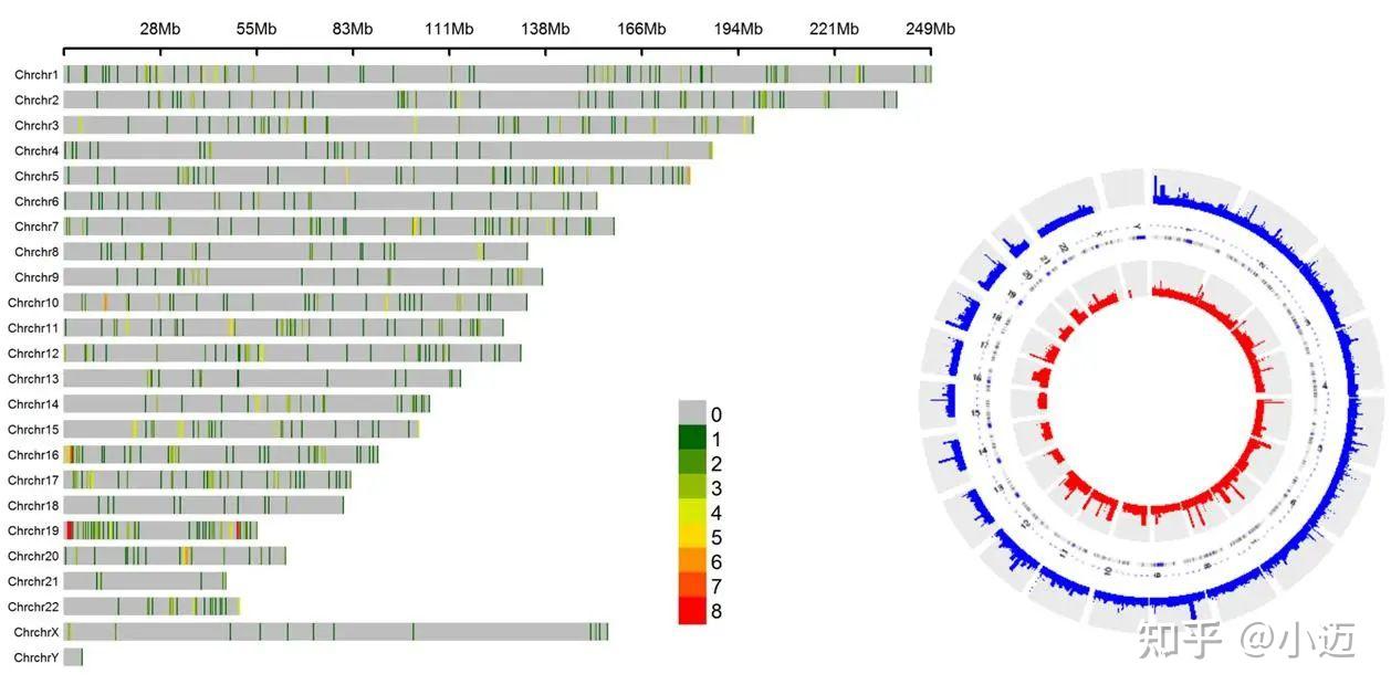 CUT-Tag数据不会看？一篇文章教会你！ - 知乎