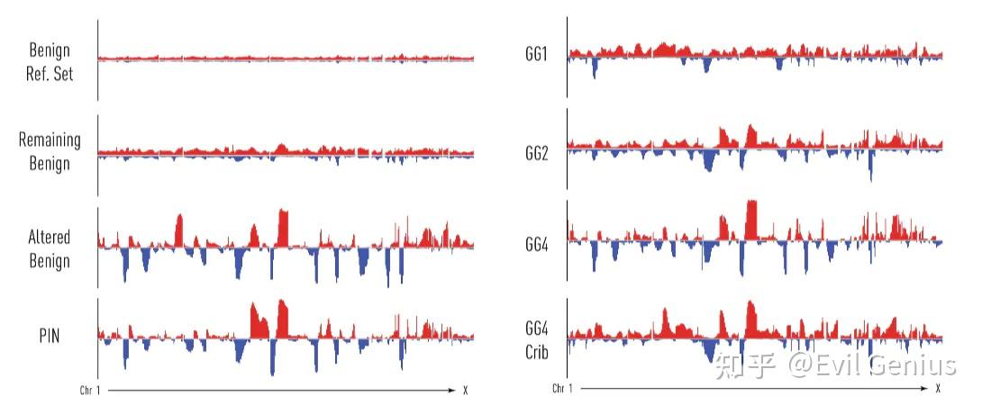 利用空间转录组学揭示良性和恶性组织中的细胞拷贝数变异 - 知乎