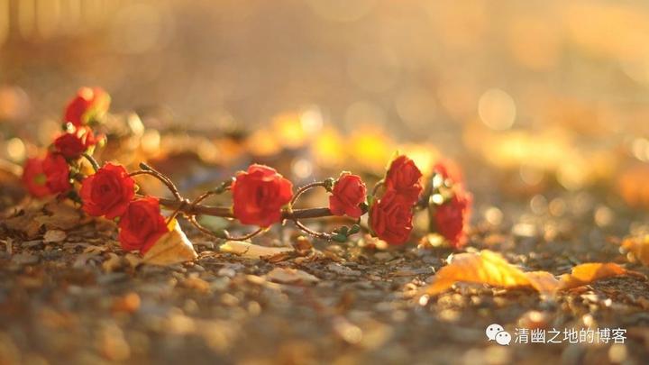 SpringBoot、Netty、Zookeeper实现RPC远程过程调用 - 知乎