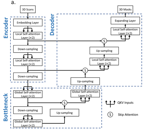 医学影像算法论文略知一二：nnFormer - 知乎