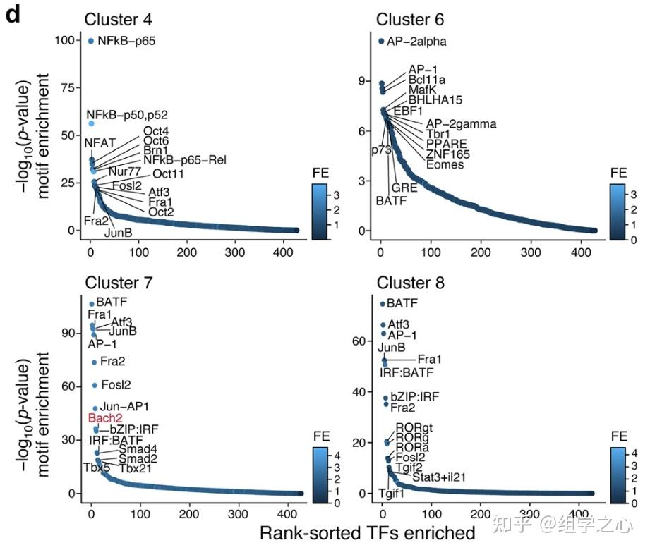 nature immunology | BACH2调控“调节性”和“促炎性”TH17细胞的染色质多样化状态 - 知乎