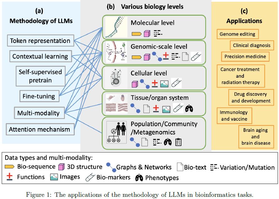 （2025，BioLM，综述）用于生物信息学的 LLM - 知乎