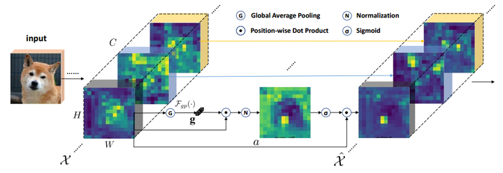 大白话《Spatial Group-wise Enhance》 - 知乎