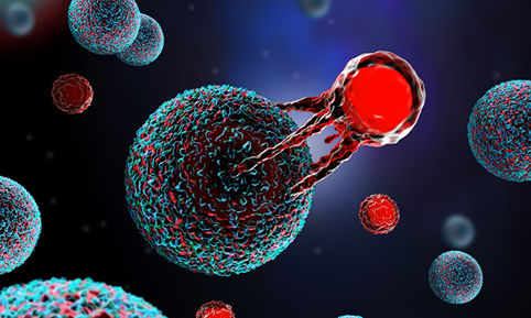 “抗衰疫苗”来了？一次治疗，半生有效！uPAR-CART衰老细胞清除剂发明者最新研究成果公布 - 知乎