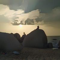 X509V3数字证书介绍 - 知乎