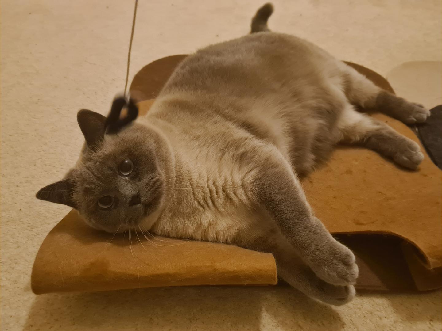 MDCG 2023-3 MDR警戒术语和概念的问与答 - 知乎