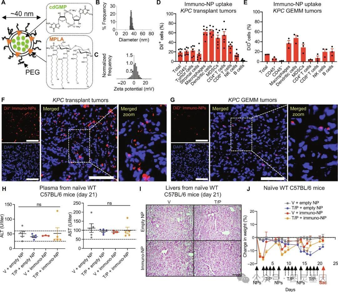 Sci Tra Med | 四药联合缩小胰腺癌肿瘤 - 知乎