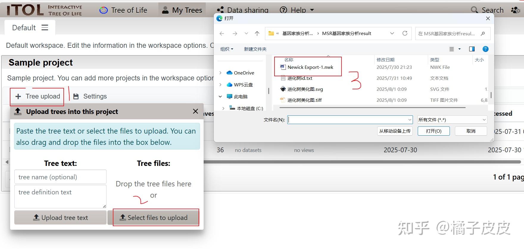 ITOL在线网站进行系统发育树美化 - 知乎