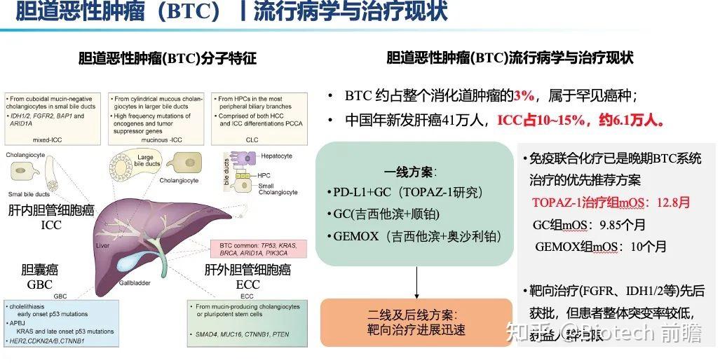 双免疫组合及双抗在胆道肿瘤的切入点及布局失误（最新幻灯分享） - 知乎