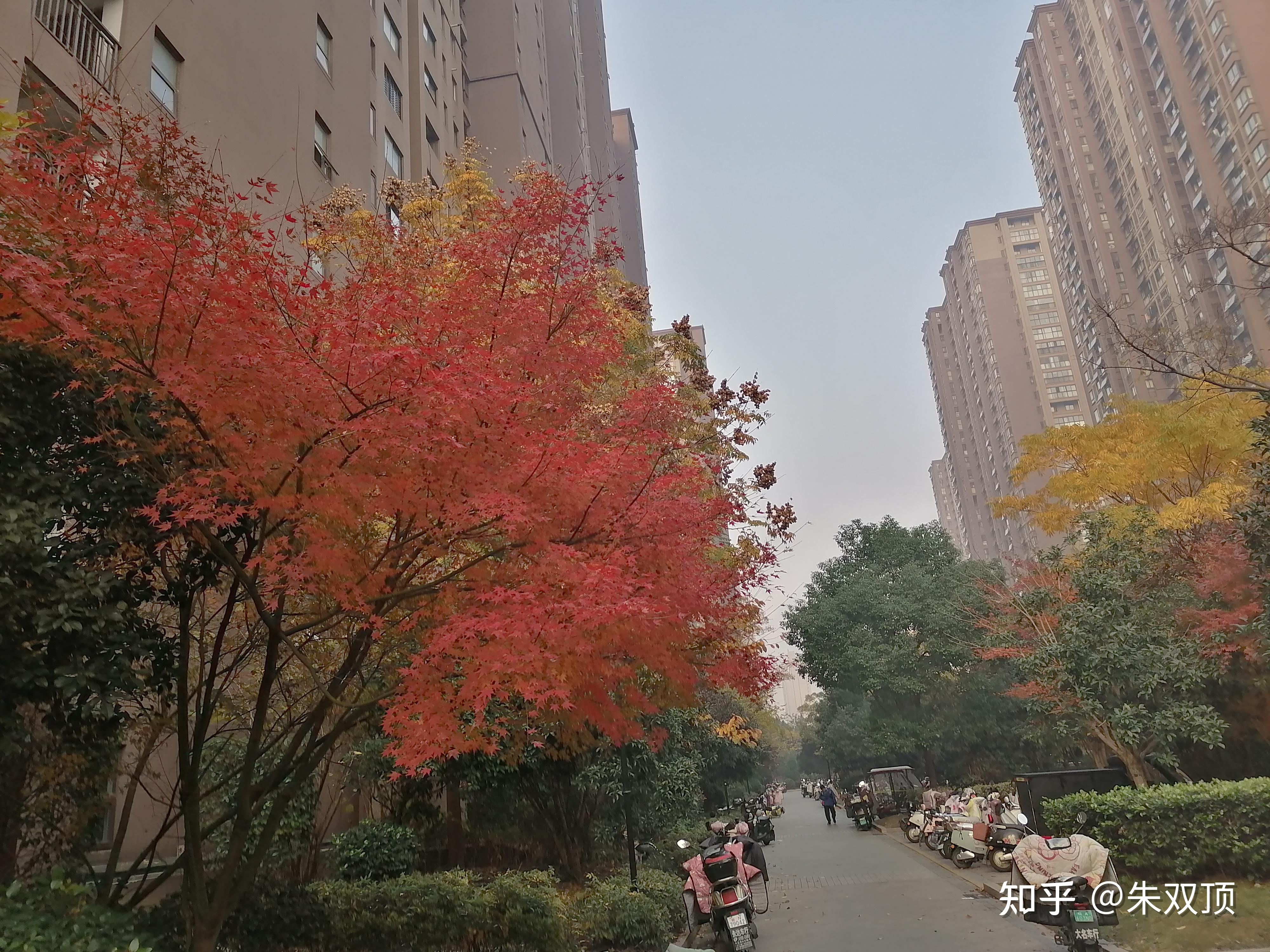 晏子称得上中国古代对妻子忠诚的典范吗？ - 知乎