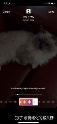 一篇文章带你全面了解Instagram Reels - 知乎