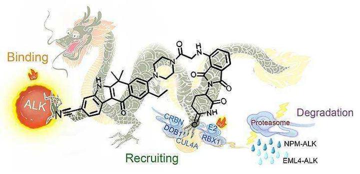 ALK检测芝士全在这了 - 知乎