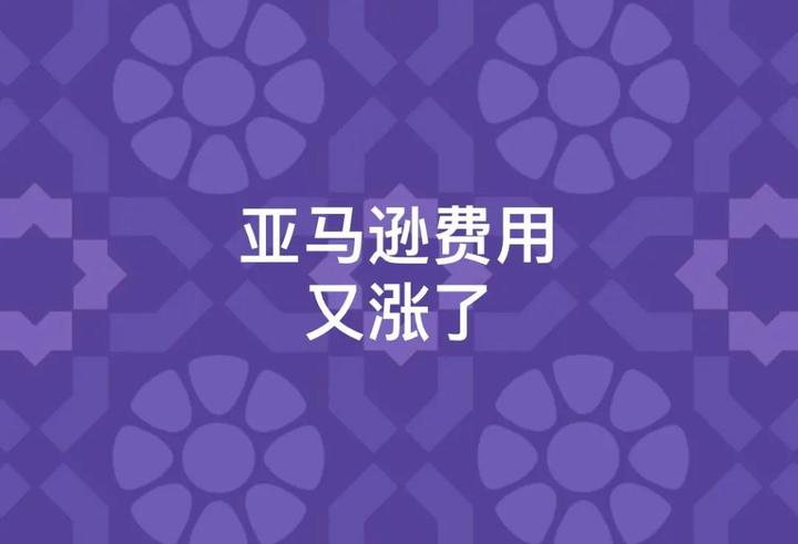 在快速涨价的亚马逊收费站里，新一年亚马逊卖家要怎么干 知乎