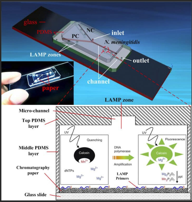 微流控技术在医学检验（POCT）领域的应用 - 知乎