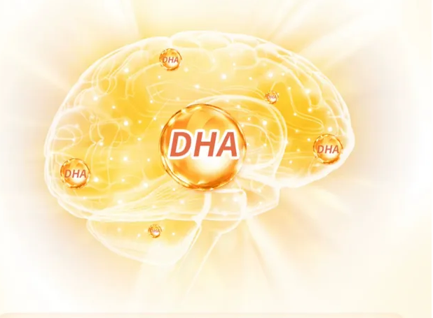 DHA：大脑发育的超级营养素 - 知乎