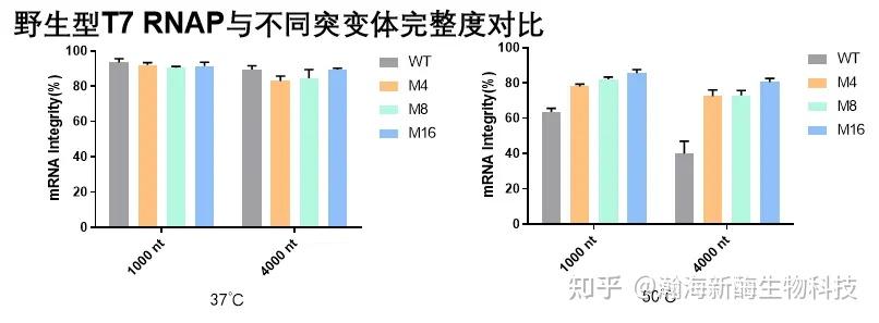 从蓝图到现实—探索mRNA的体外转录工艺 - 知乎