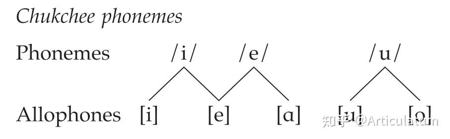 音系学杂文系列之一：音位 - 知乎