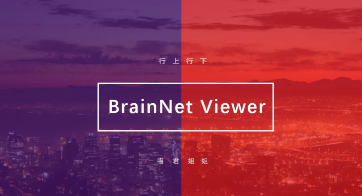 BrainNet Viewer:人类大脑连接的网络可视化工具 - 知乎