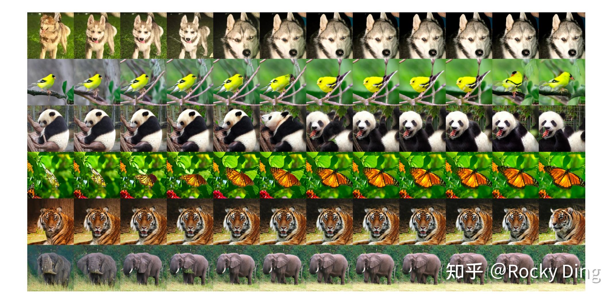 深入浅出完整解析扩散模型DDPM、DDIM、Score-Based、SDE、LDM、Classifier/Classifier-Free ...