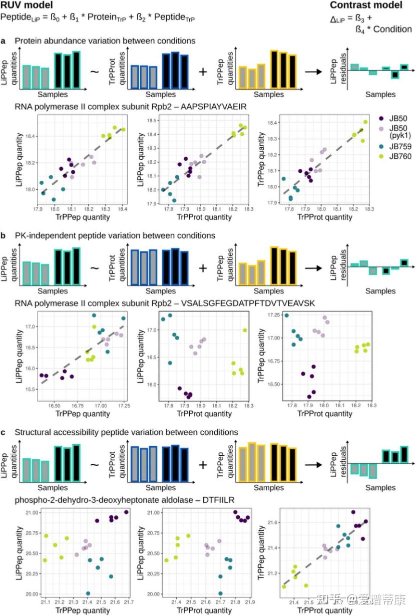 LiP-MS质谱数据分析策略—LiPAnalyzeR - 知乎