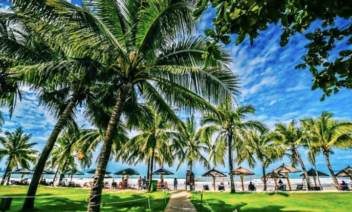 Hannan self-guided tour - 知乎