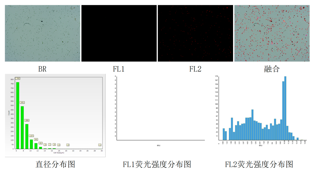 FFPE单细胞Flex，承诺必达，赋能临床转化！ - 知乎