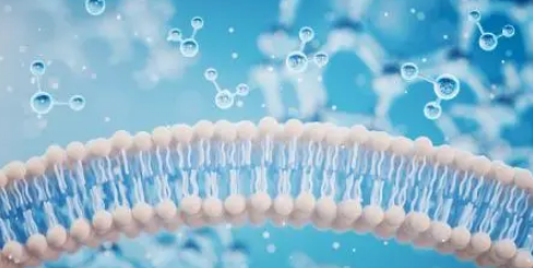 N3-PEG-DMPE，N3-PEG-DOPE，叠氮Azido-聚乙二醇修饰PE磷脂 - 知乎