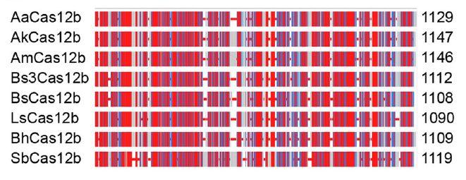 领先于张锋的李伟团队，再开发四种Cas12b，大大扩展了CRISPR/Cas12b基因编辑工具箱 - 知乎