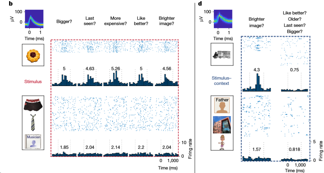Nature重磅：人脑把记忆“拆成两路”：内容与情境分开存、一起用 - 知乎