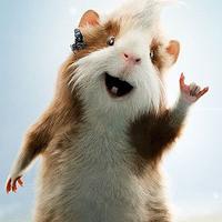 用cuda实现letterbox - 知乎