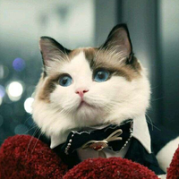 13. VTK Wpf 使用 vtkImageData 显示图像数据 - 知乎