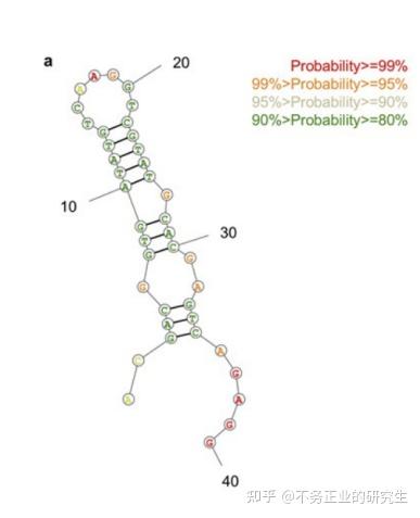 核酸适配体赋能生物颗粒 - 知乎