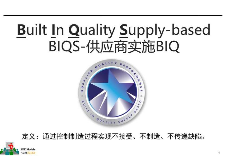什么是BIQS-供应商实施BIQ? - 知乎
