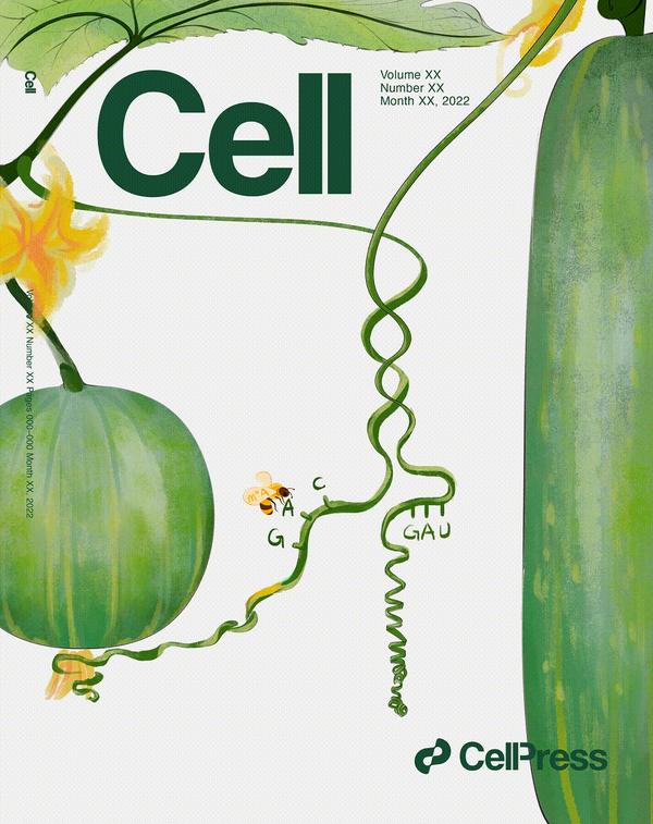 《Cell》封面设计全过程分享 | Vol.188 No.17 - 知乎
