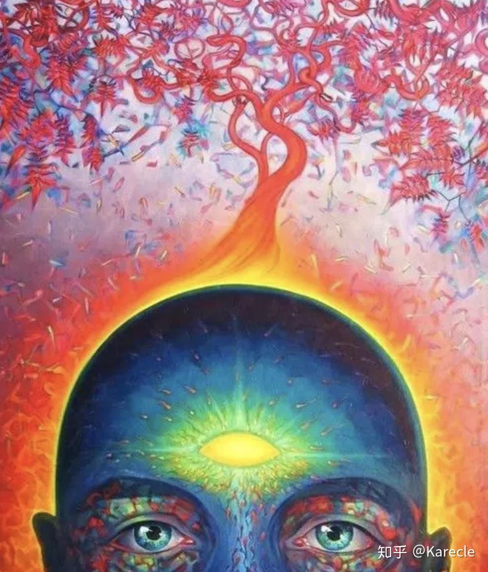 什么是 Psy Trance ？ - 知乎
