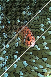 超像素分割 SLIC Superpixels Compared to State-of-the-art Superpixel Methods - 知乎