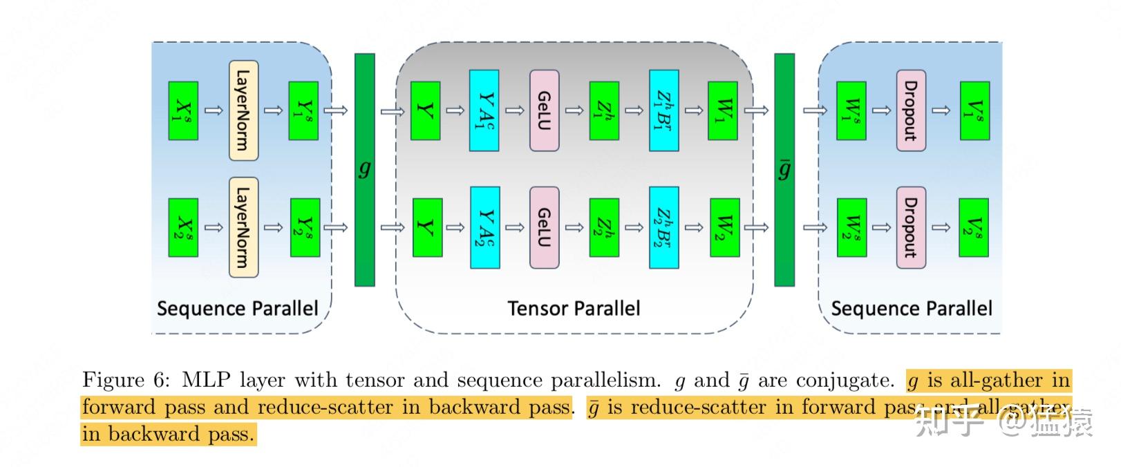 图解大模型训练系列：序列并行1，Megatron SP - 知乎