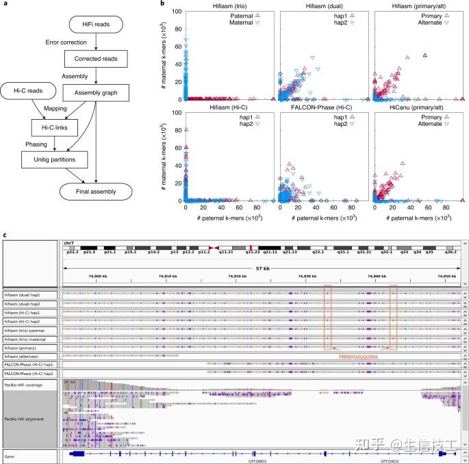 用Hifiasm组装基因组：（二）Hifiasm软件的算法 - 知乎