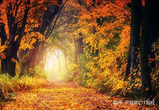 沪深300ETF期权交易规则及费用？期权交易技巧? - 知乎