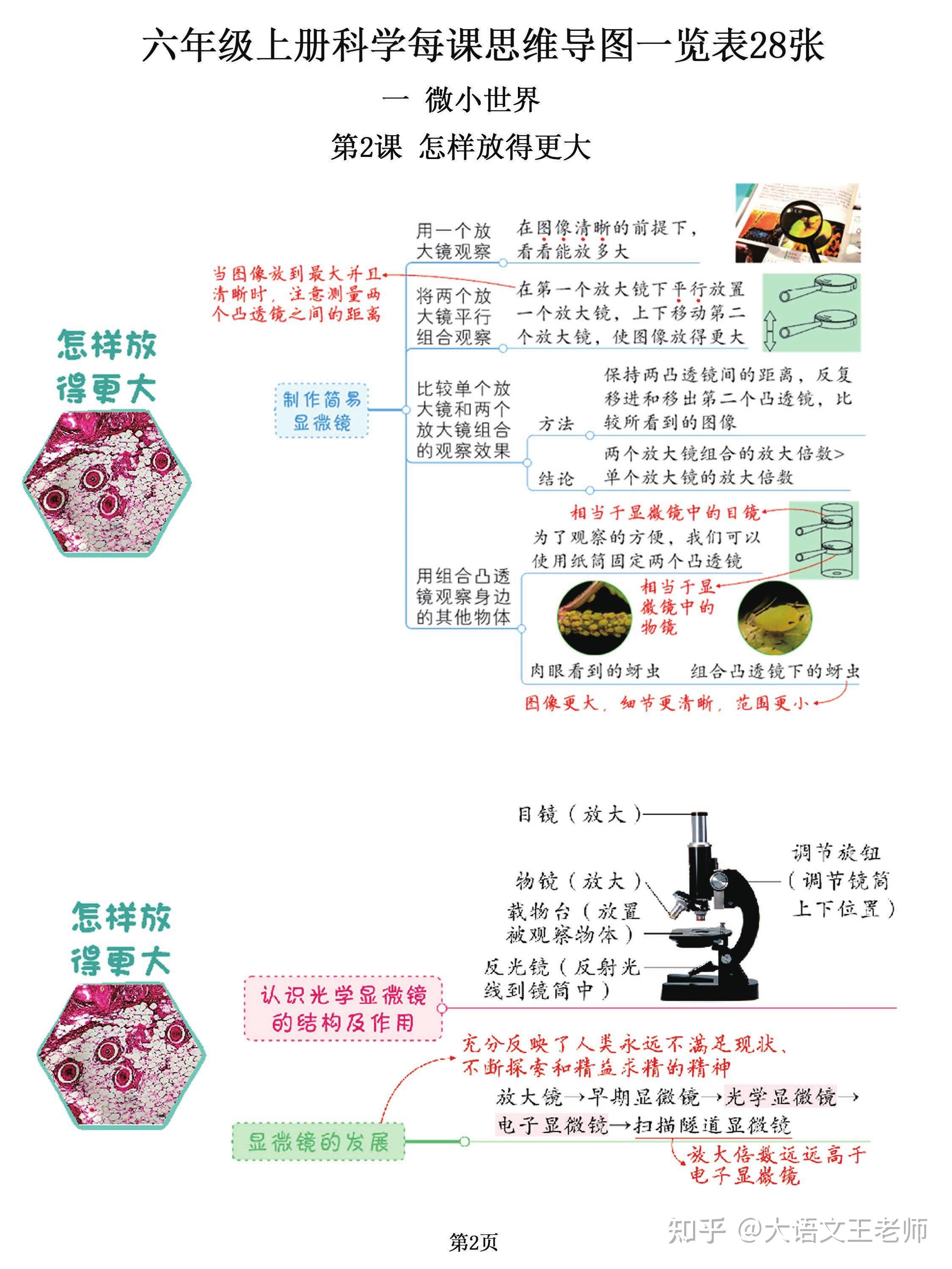 小学六年级上册《科学》思维导图汇总💯 知乎 