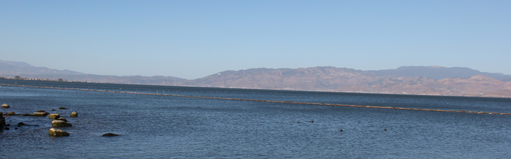 流式语音识别websocket服务——asio异步多线程 - 知乎