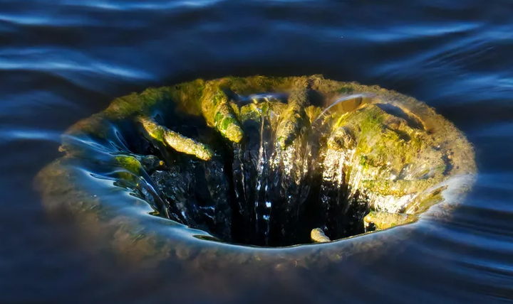 Optimism 盛宴将至？OP Stack 生态项目全览 - 知乎