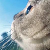 SIC code 和 NACE code - 知乎