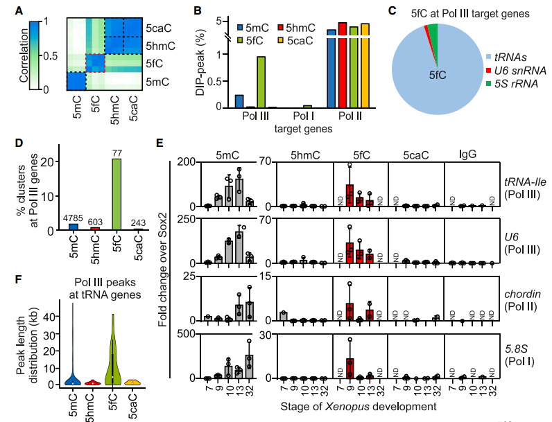5fC DNA甲酰基胞嘧啶测序 - 知乎