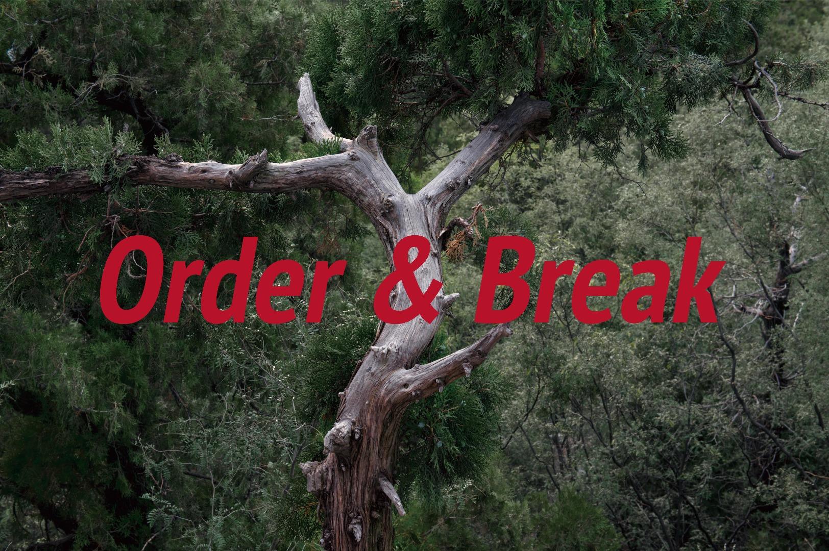 个人作品《Order And Break》 - 知乎