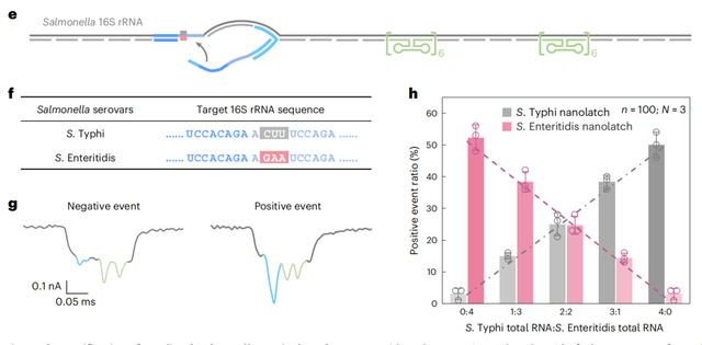纳米孔RNA检测新方法 - 知乎